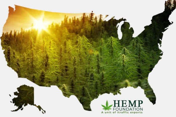Why Regulation is the Biggest Hurdle for Hemp Industry in the US